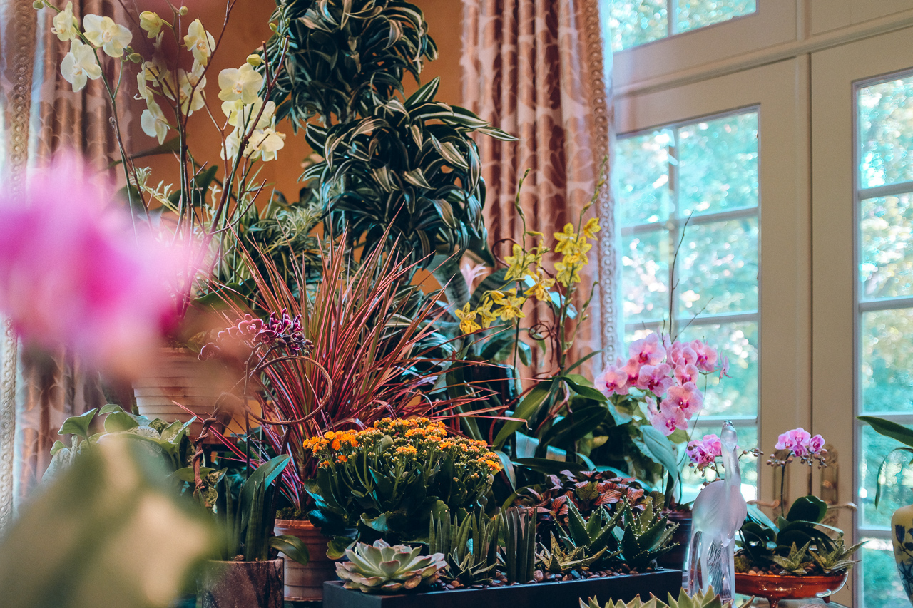 Jerry Rose Floral + Event Design