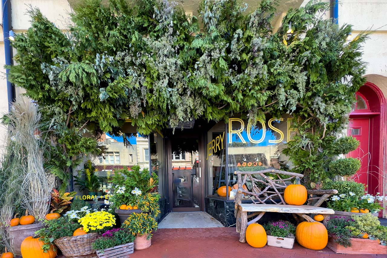 The Shop - Jerry Rose